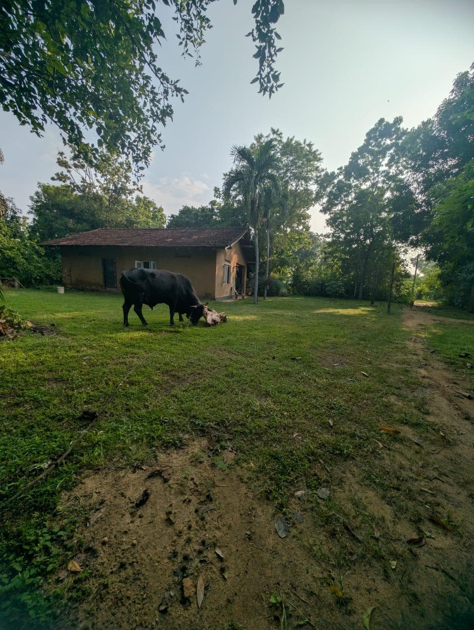 Echo Home Relax | Experience Authentic Village Life in Ella-Wellawaya